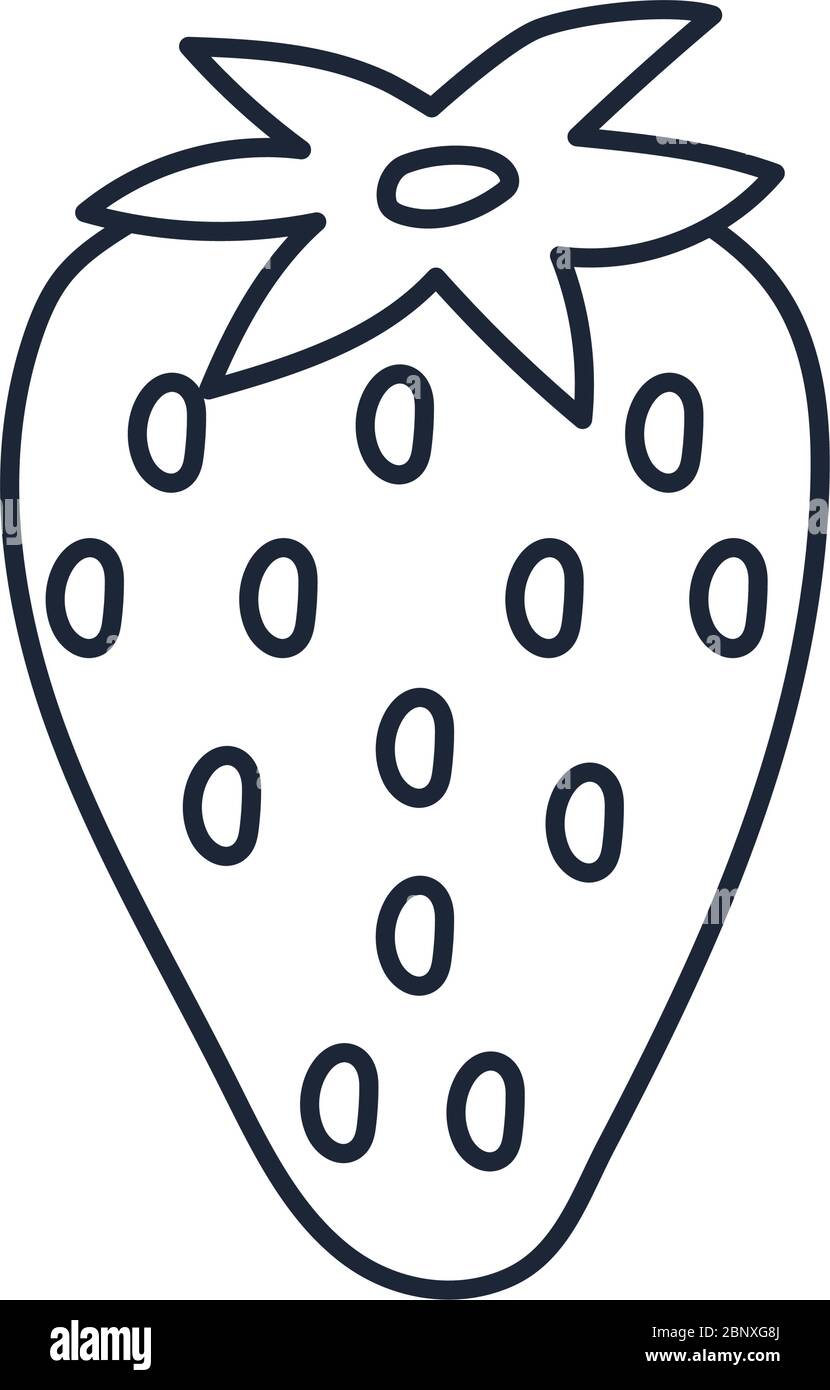 strawberry fresh fruit line style Stock Vector Image & Art - Alamy