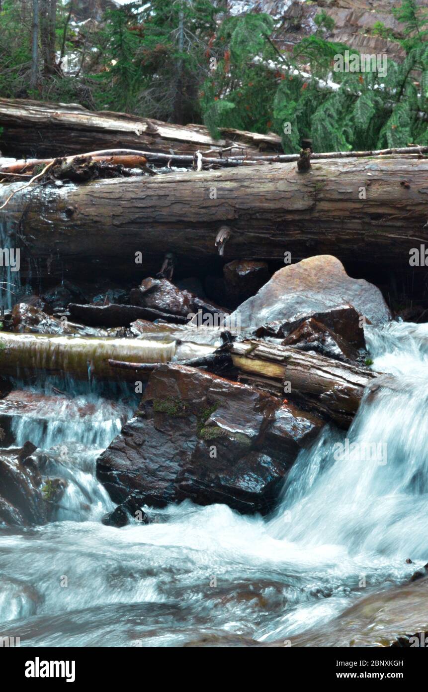 River logs hi-res stock photography and images - Alamy
