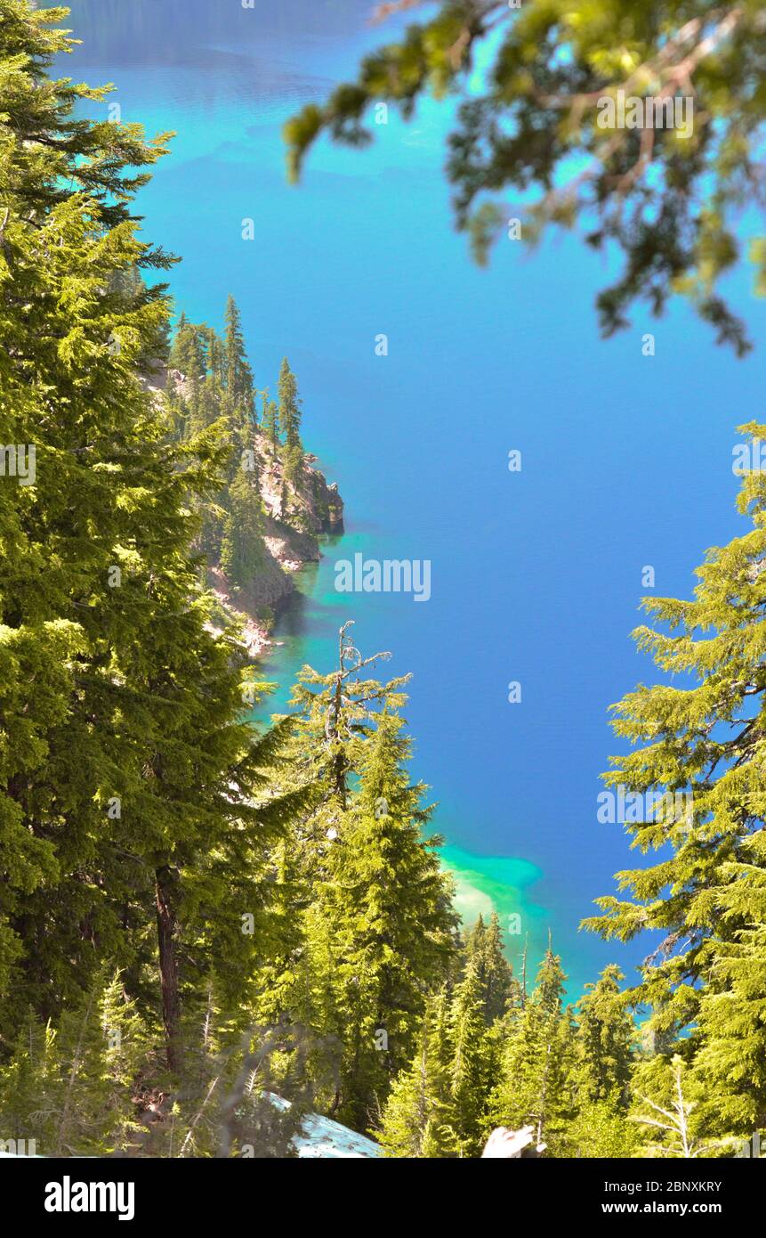 View of lake through trees hi-res stock photography and images - Alamy