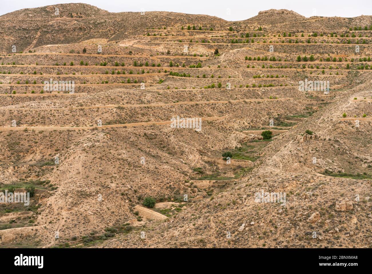 Djebel Hills High Resolution Stock Photography and Images - Alamy