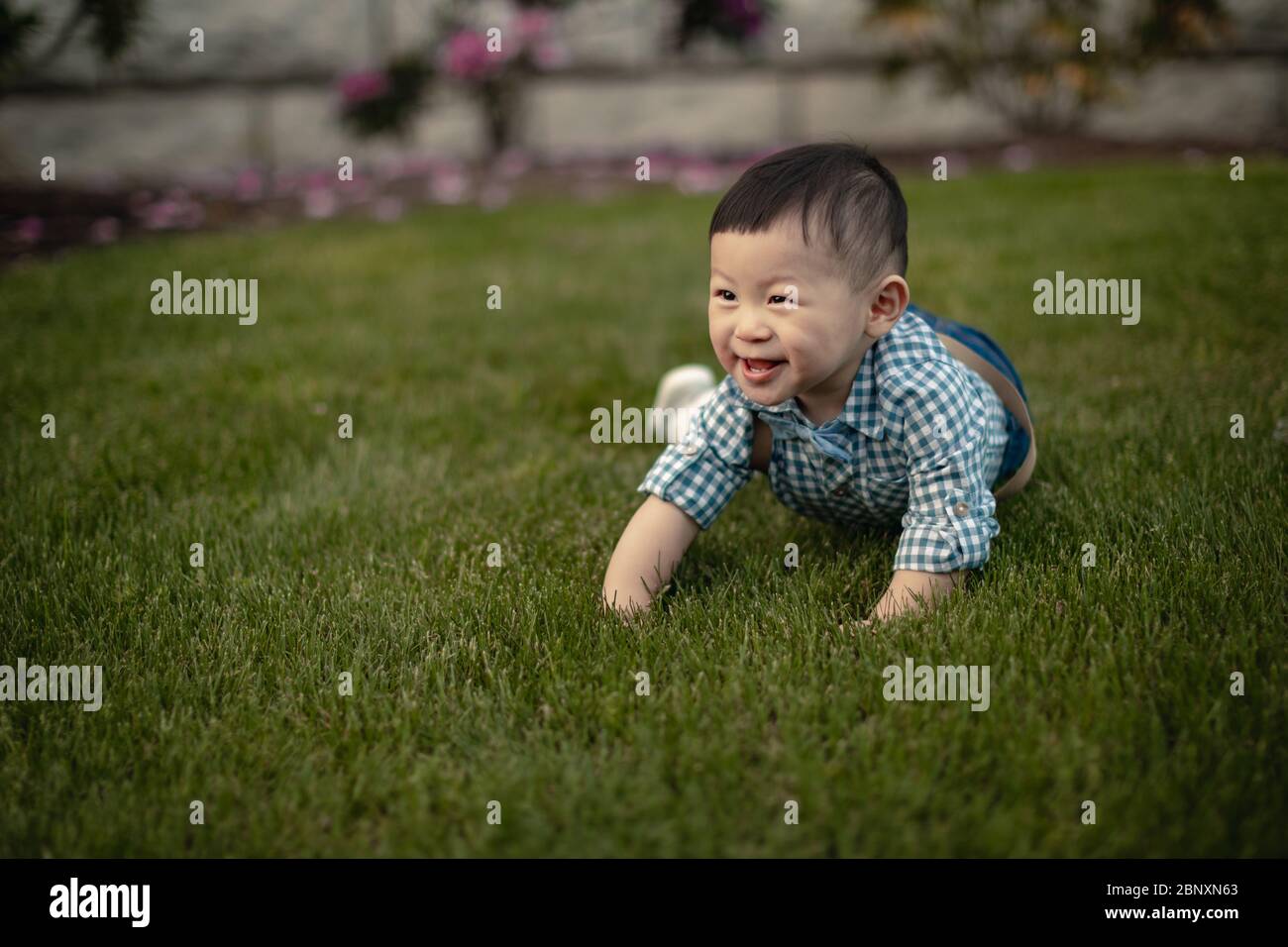 Cute asian boy playing alone in the park on the green grass, spring ...