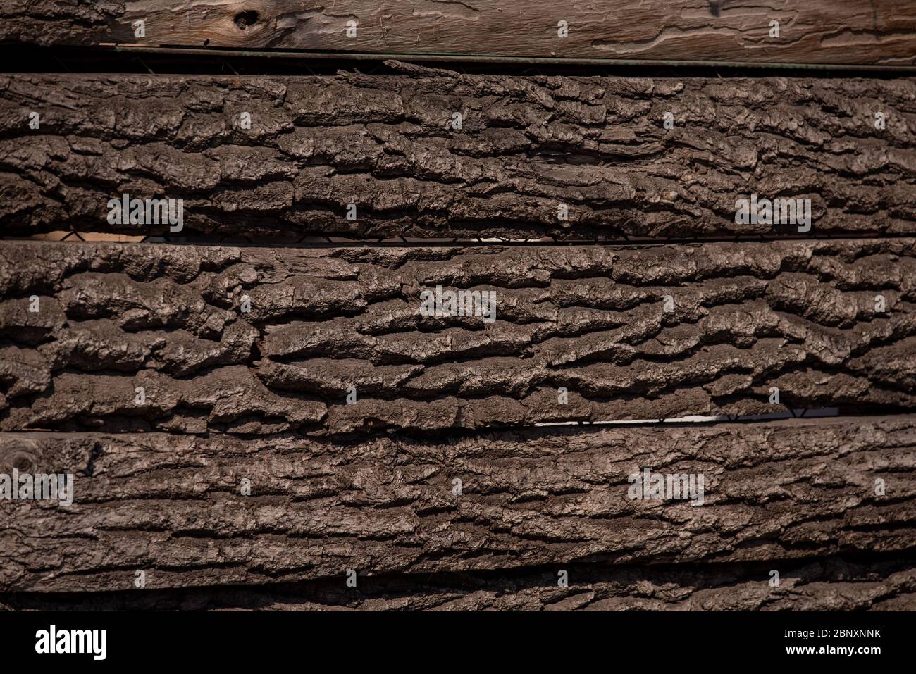 wood texture. Wood planks in daylight. Texture for designers ...