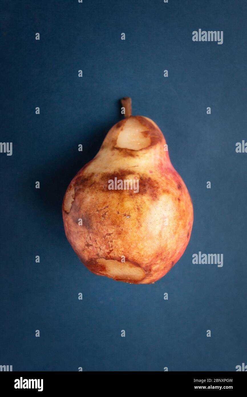 Over ripe red delicious pear against blue background. Zero waste and ...