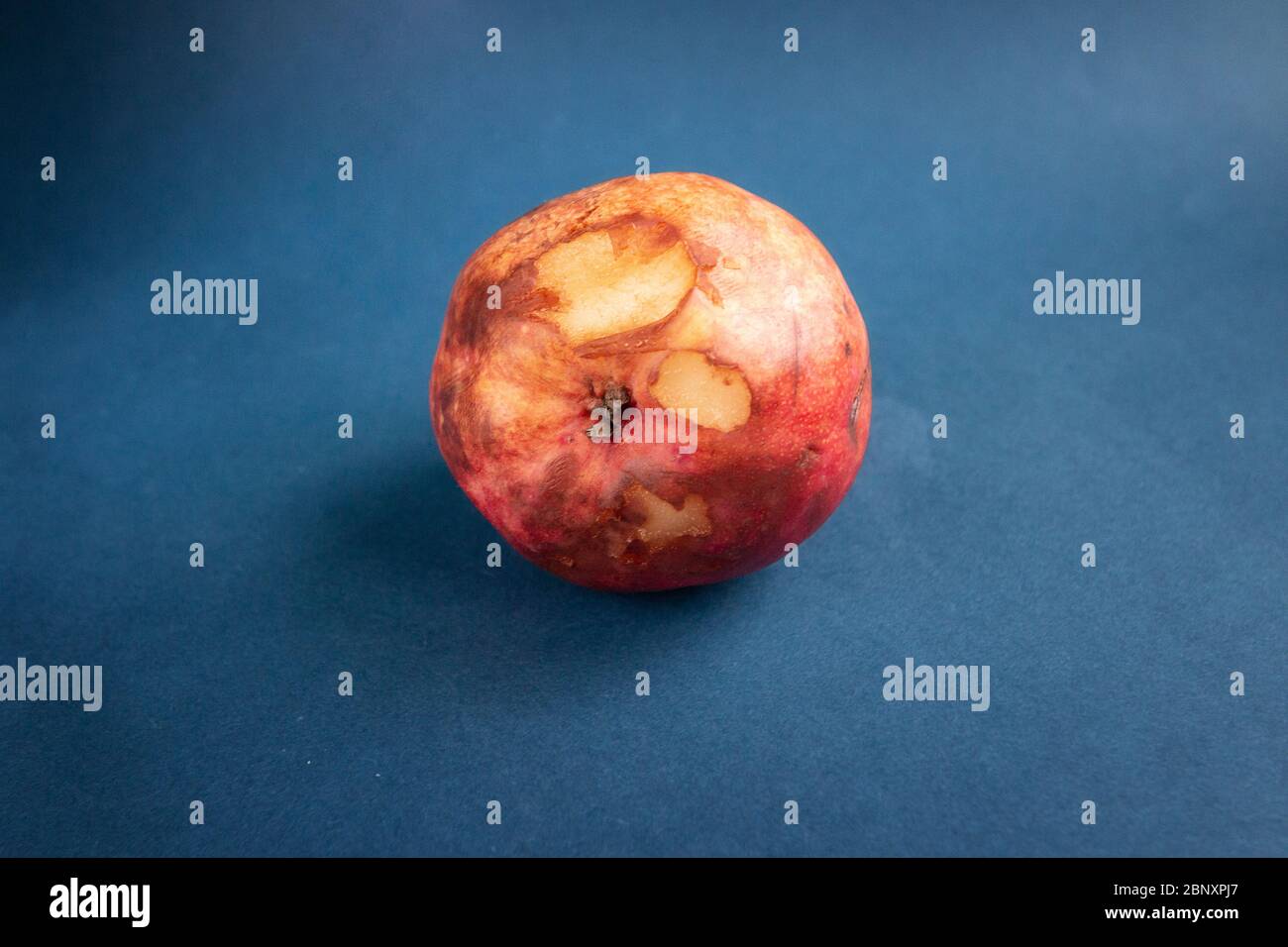 Over ripe red delicious pear against blue background. Zero waste and ...