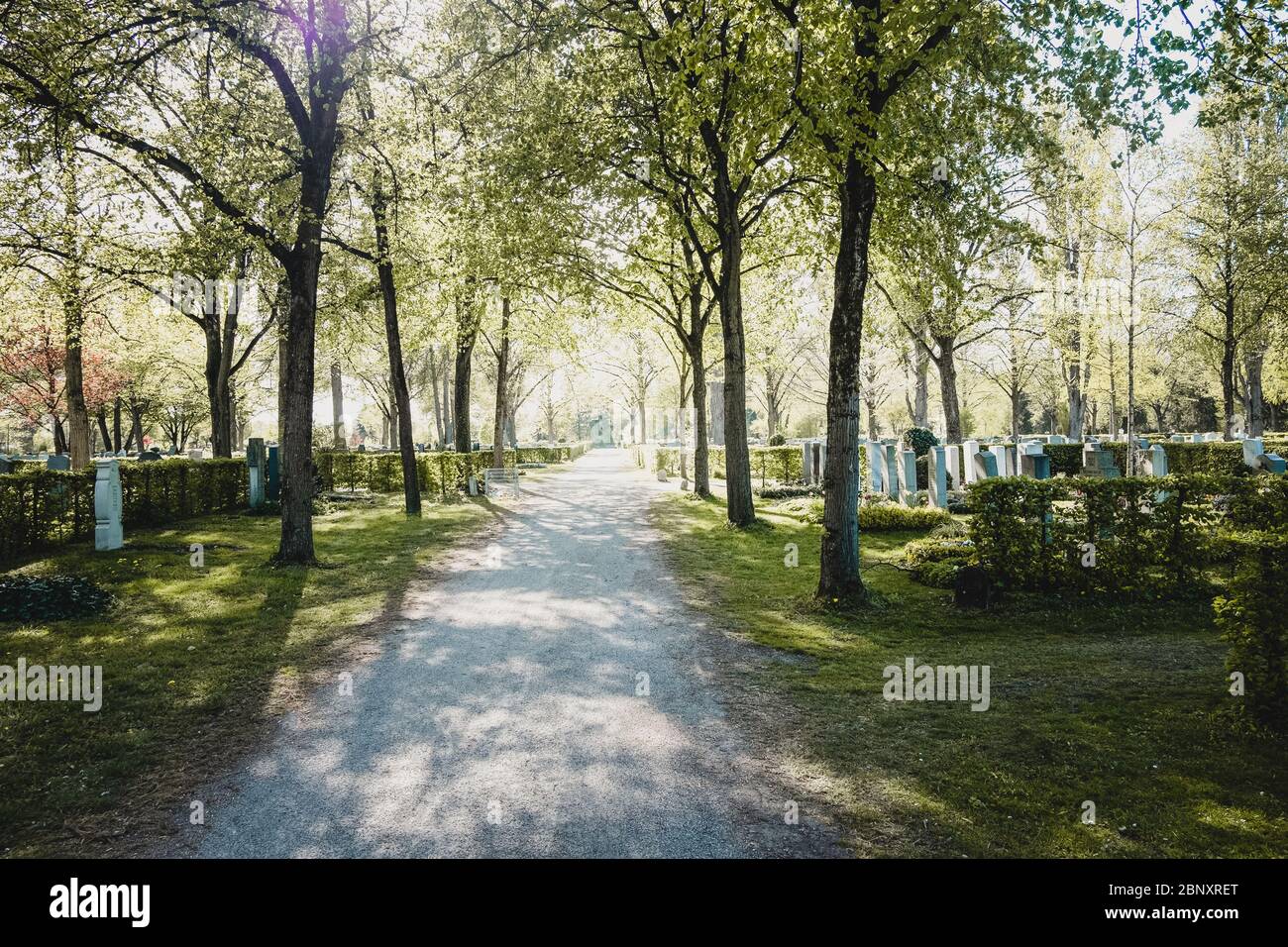 Deserted cemetery in Munich Stock Photo - Alamy