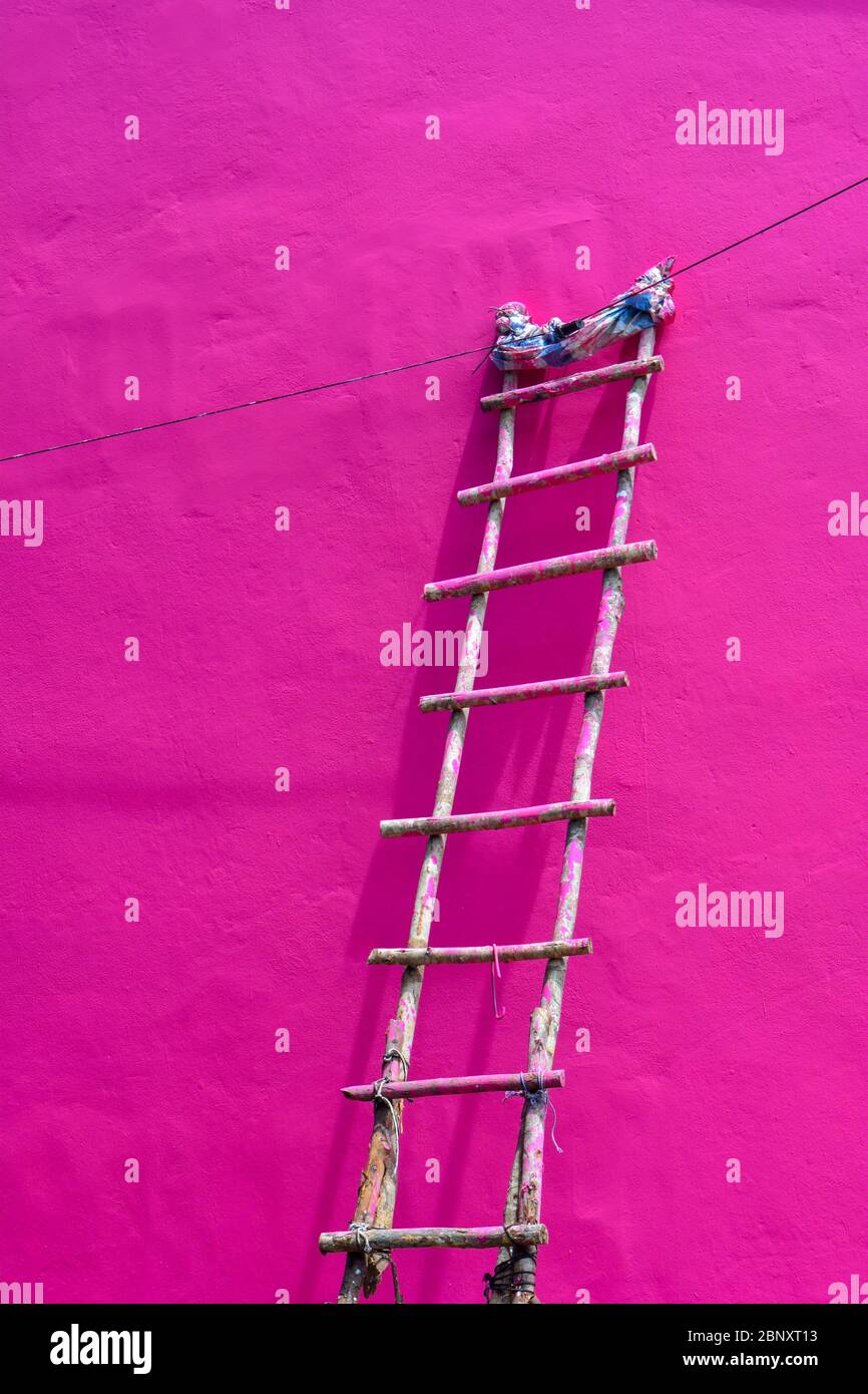 Wooden ladder at a pink wall surface. Freshly painted wall in fuchsia ...