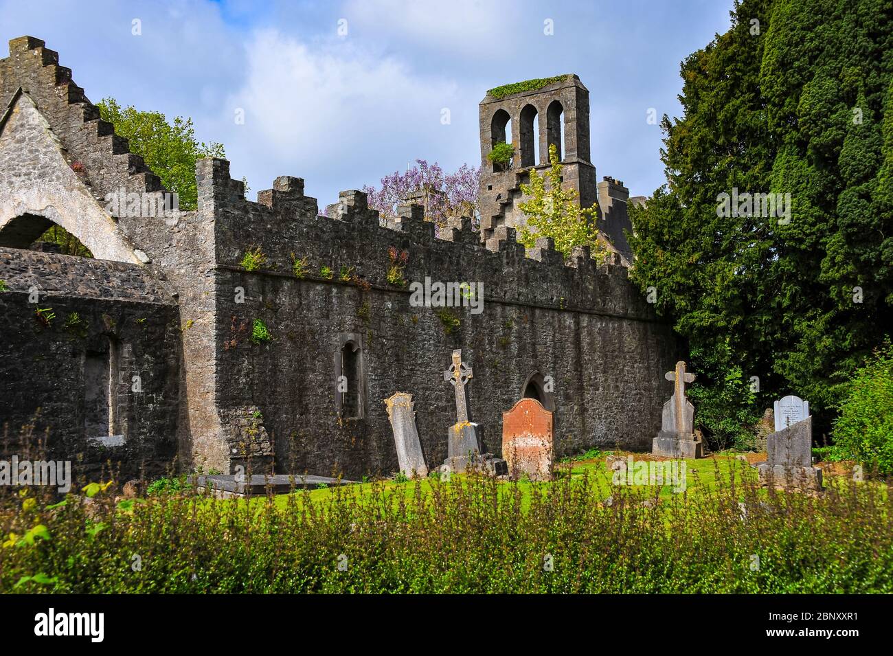 Ancient Castles in Ireland North of Dublin Stock Photo - Alamy