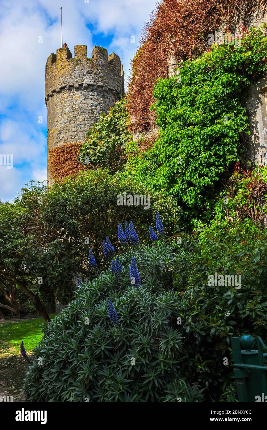 Kilkenny castle in background irish hi-res stock photography and images ...
