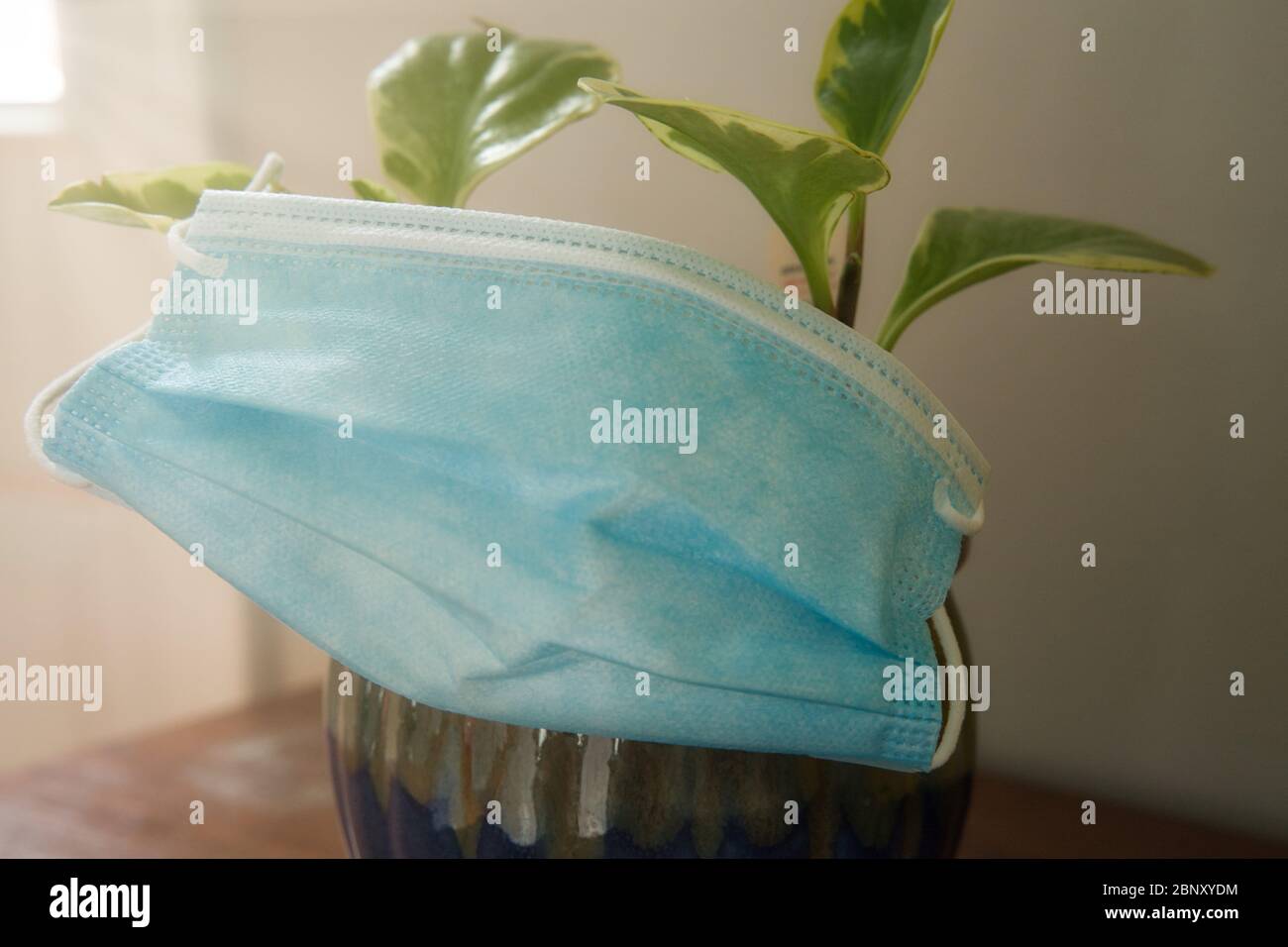 Face mask covering plants symbolizing environmental protecting during ...