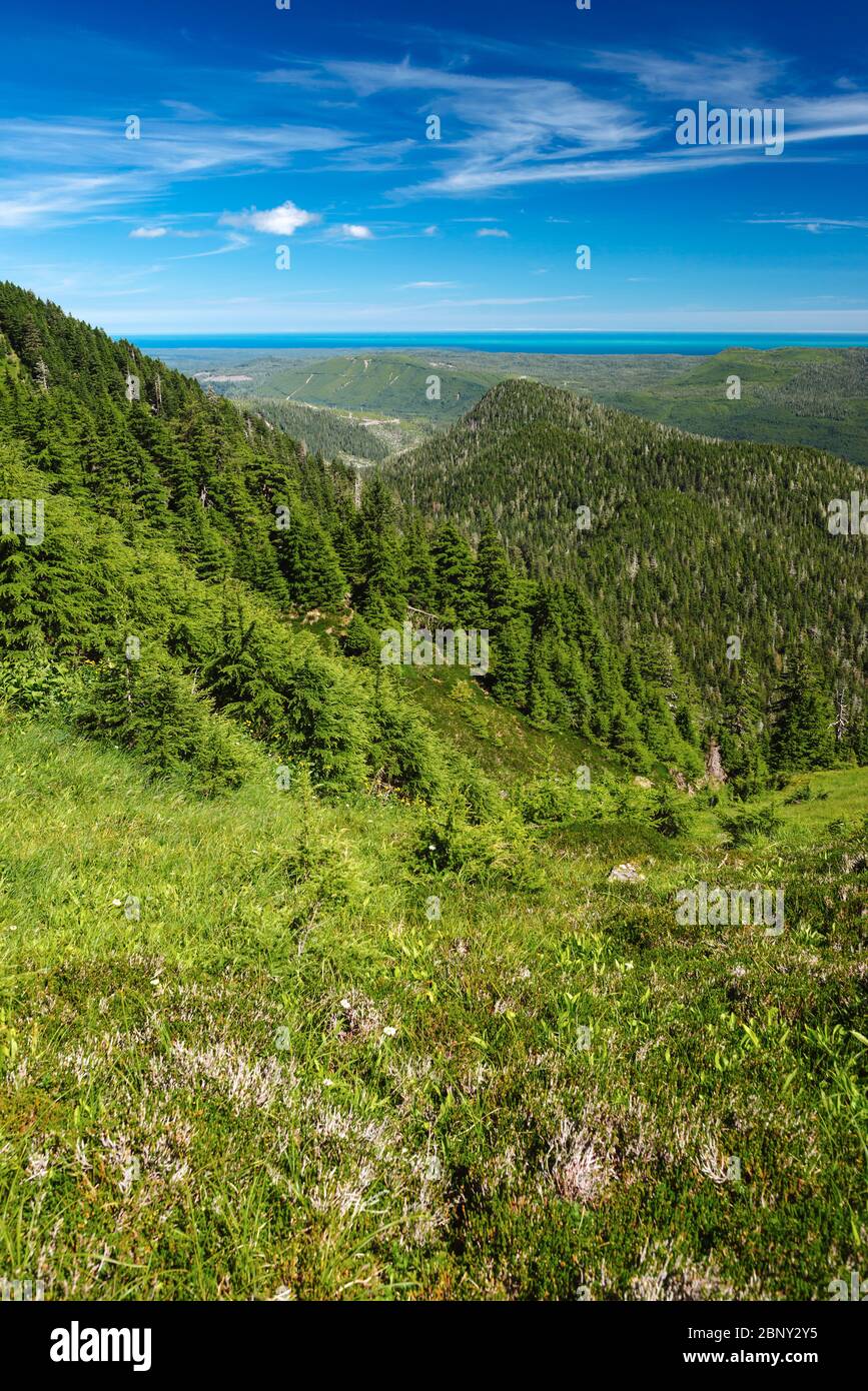 A view from the Sleeping Beauty Trail on Graham Island, Haida Gwaii ...