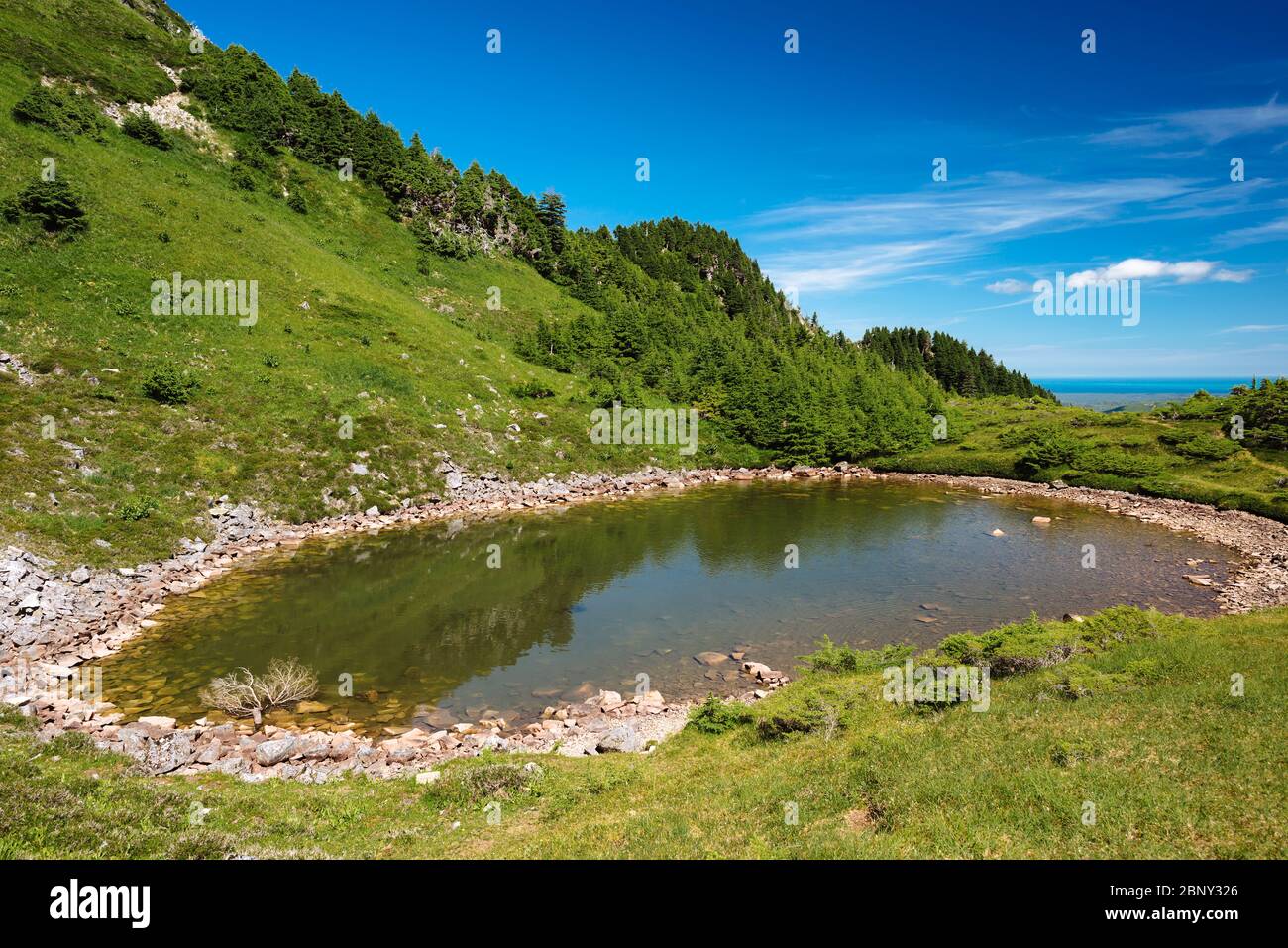 A view from the Sleeping Beauty Trail on Graham Island, Haida Gwaii ...