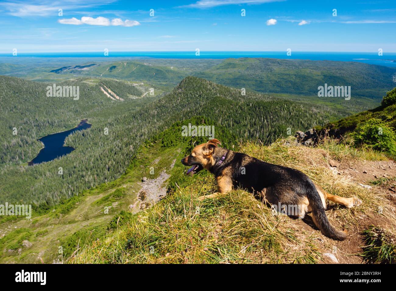 A view from the Sleeping Beauty Trail on Graham Island, Haida Gwaii ...