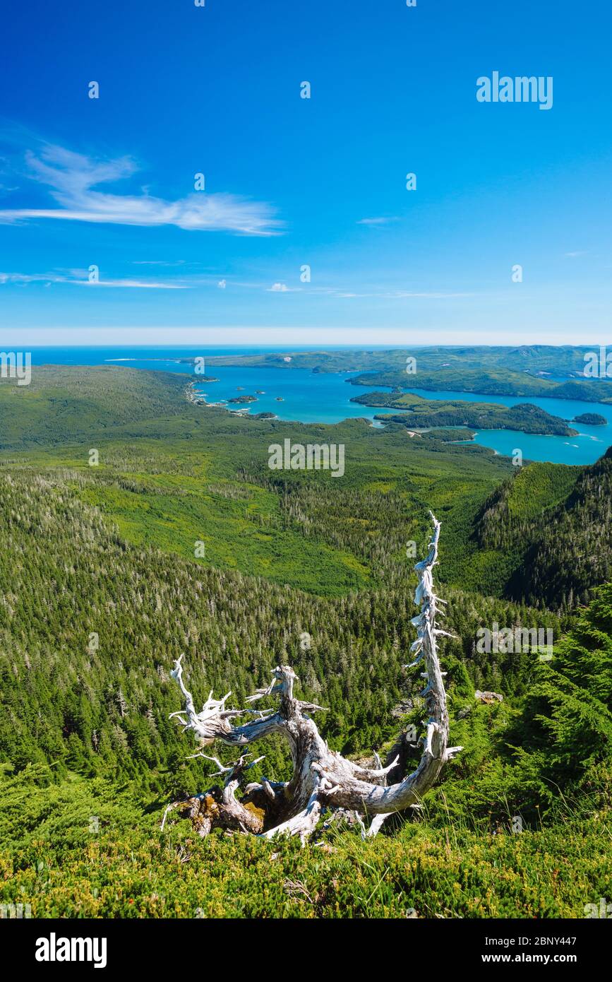 A view from the Sleeping Beauty Trail on Graham Island, Haida Gwaii ...