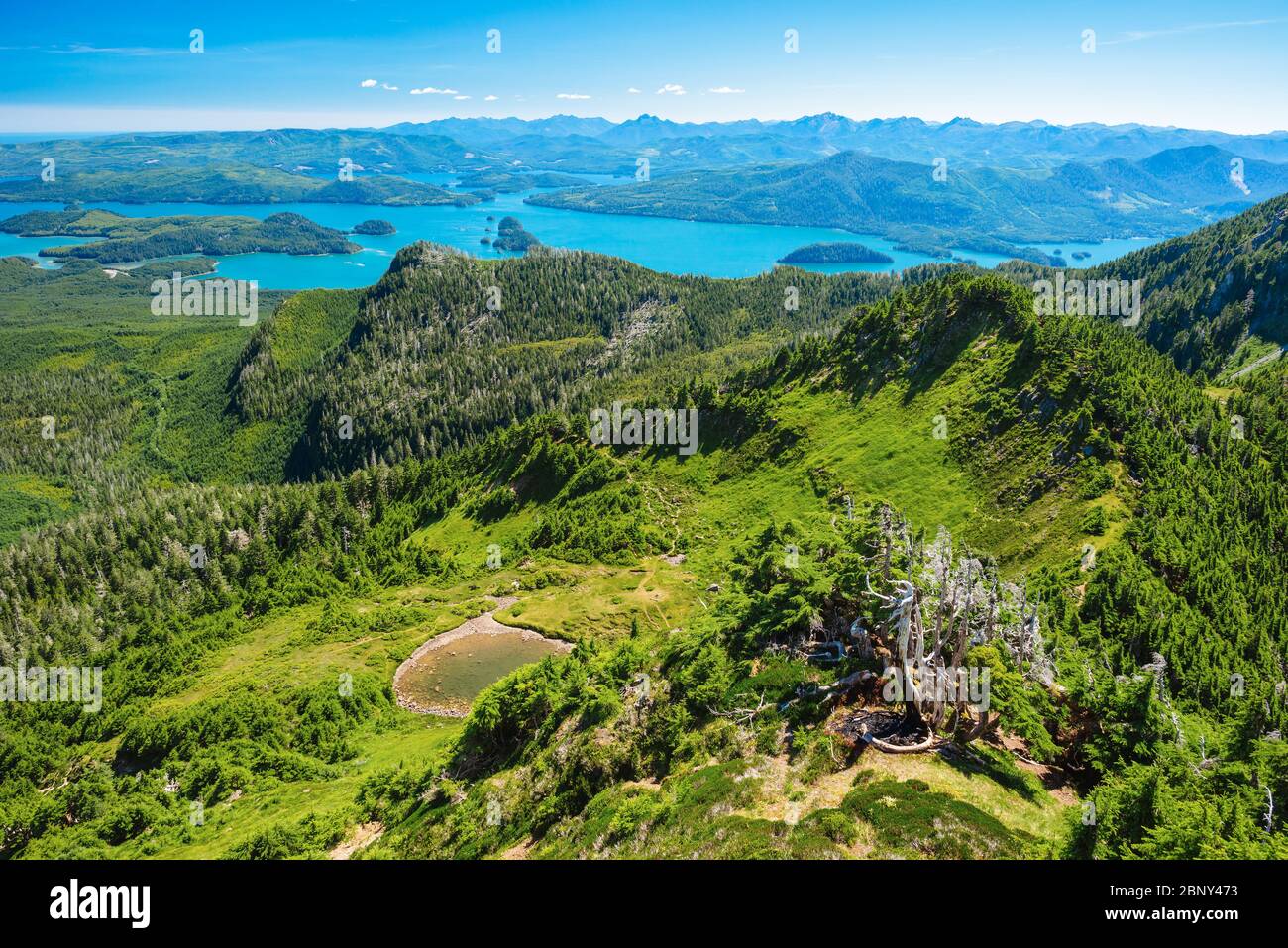 A view from the Sleeping Beauty Trail on Graham Island, Haida Gwaii ...