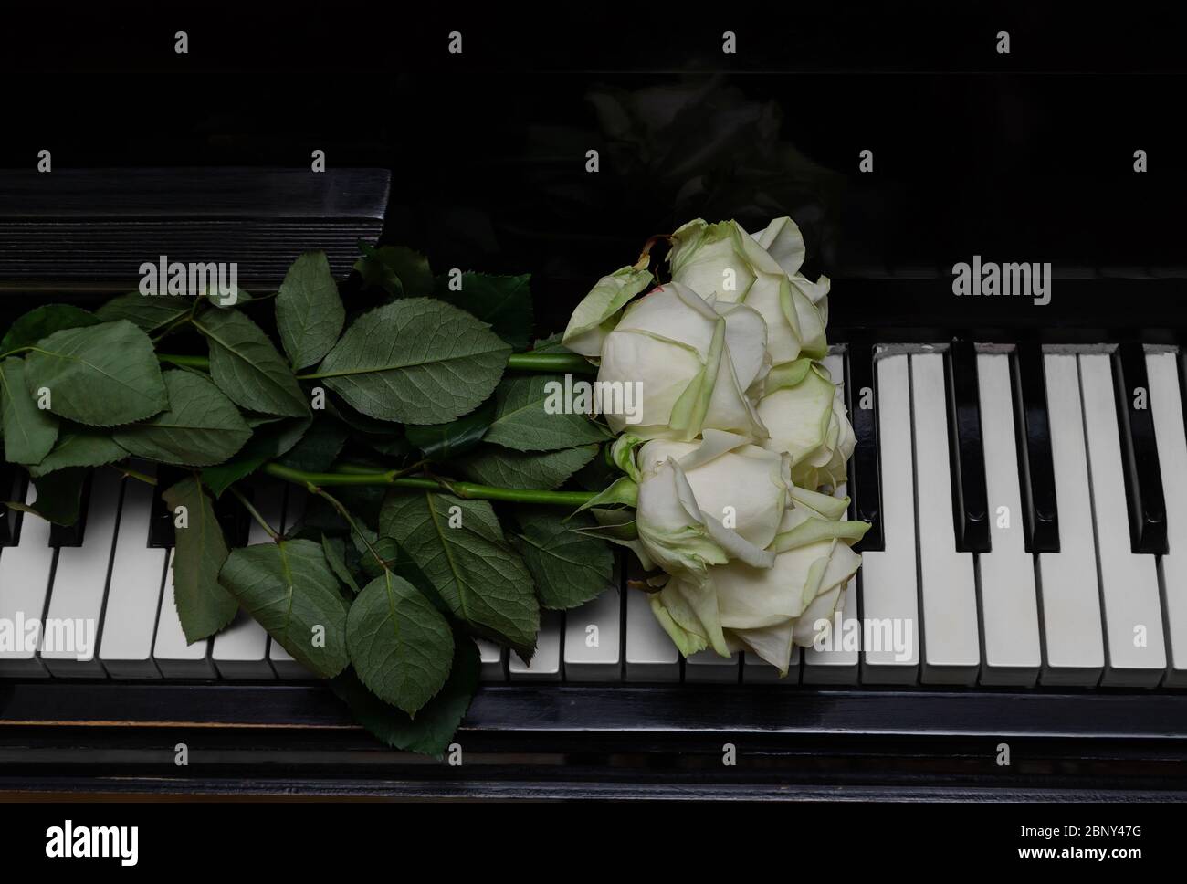 Piano keys with roses hi-res stock photography and images - Alamy