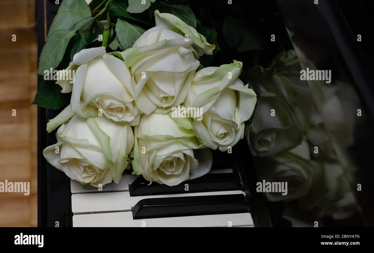 Piano keys with roses hi-res stock photography and images - Alamy