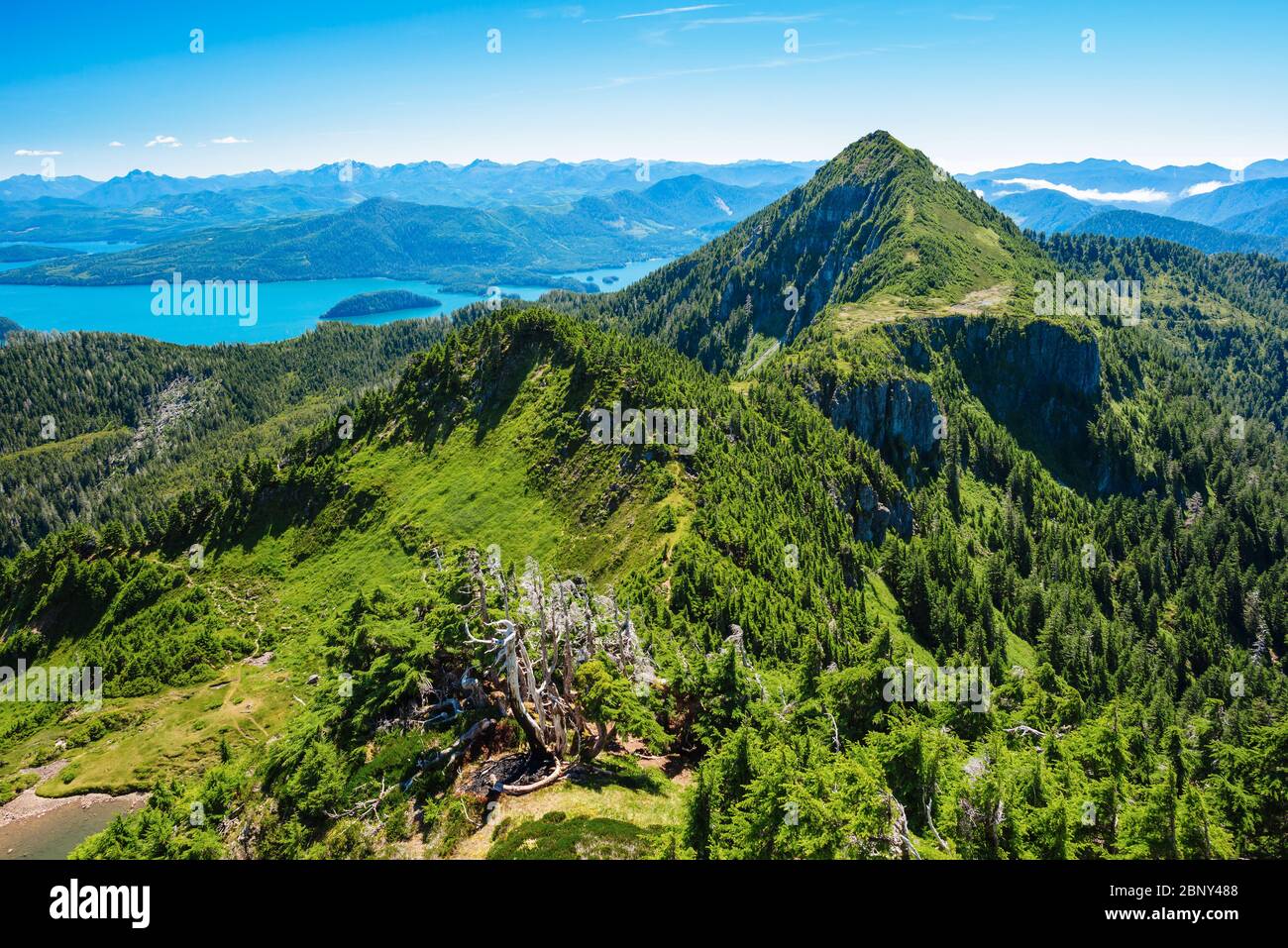 A view from the Sleeping Beauty Trail on Graham Island, Haida Gwaii ...