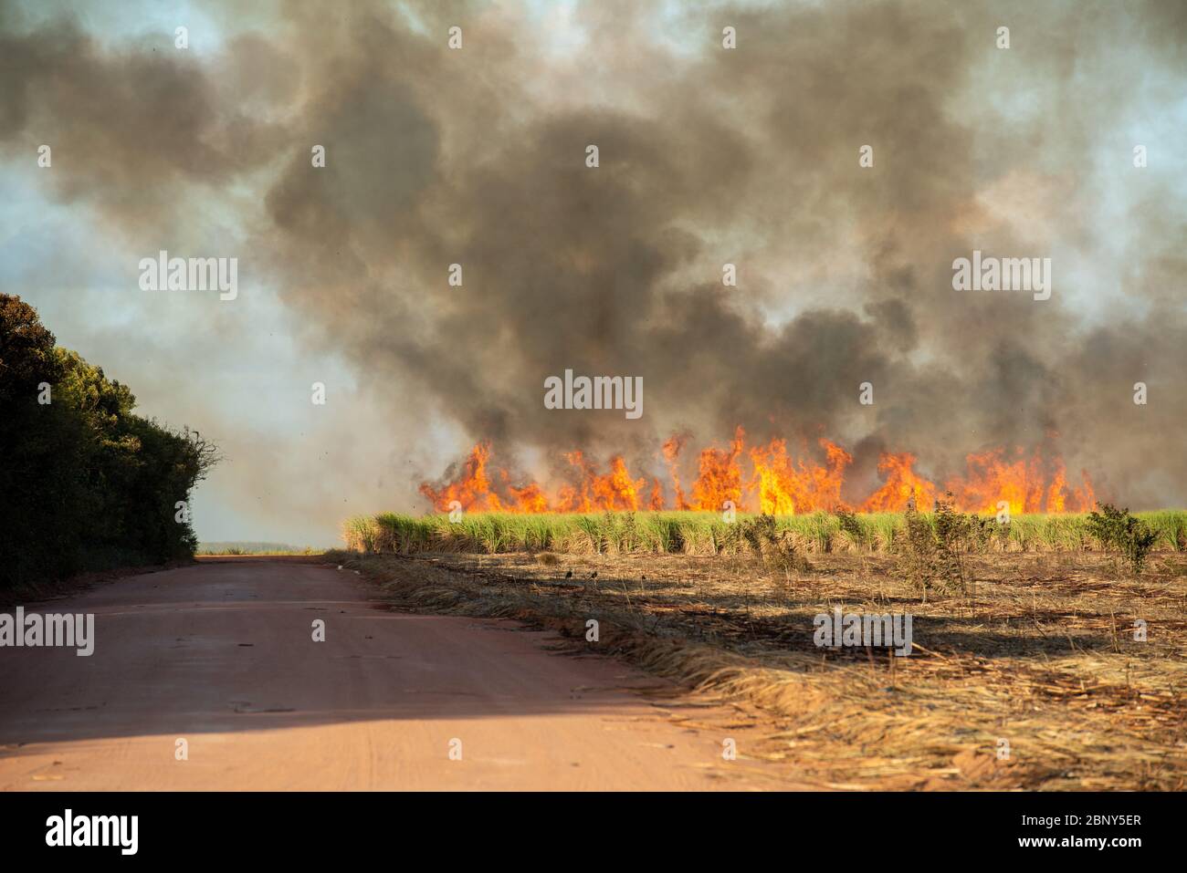 2013 brazil deforestation hi-res stock photography and images - Alamy