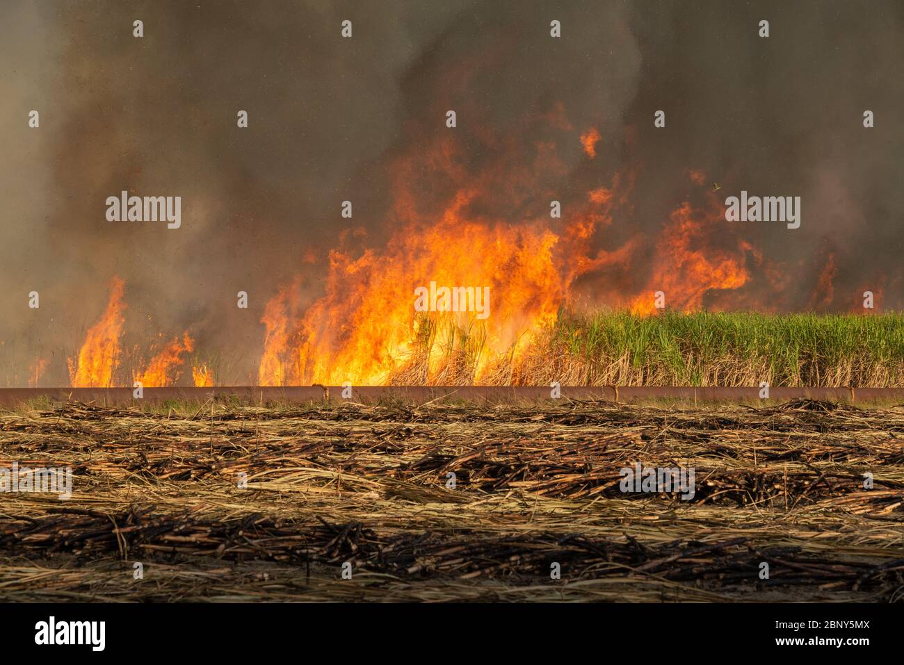 2013 brazil deforestation hi-res stock photography and images - Alamy