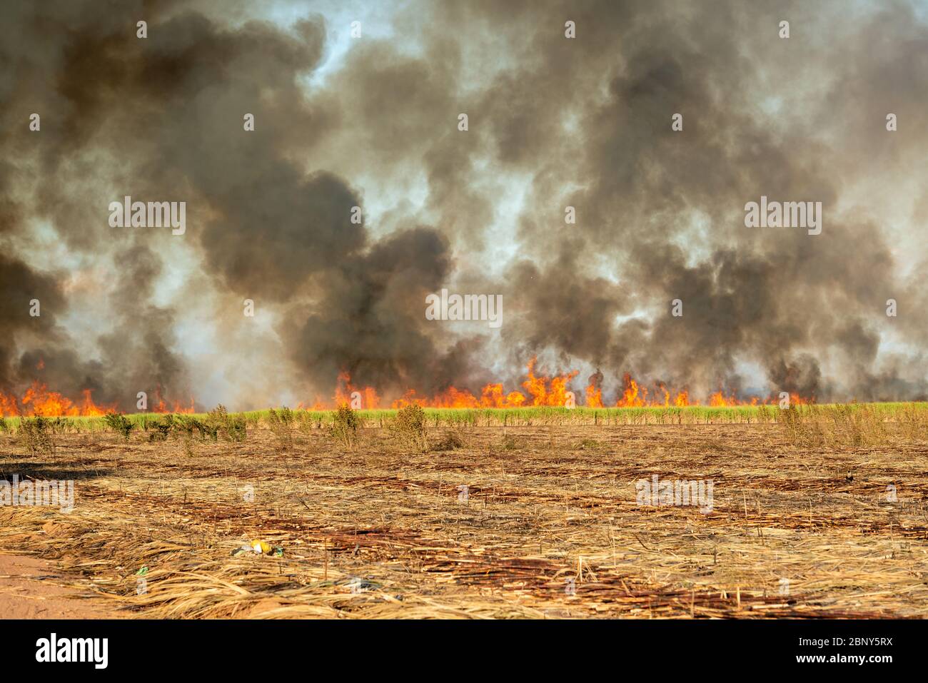 2013 brazil deforestation hi-res stock photography and images - Alamy