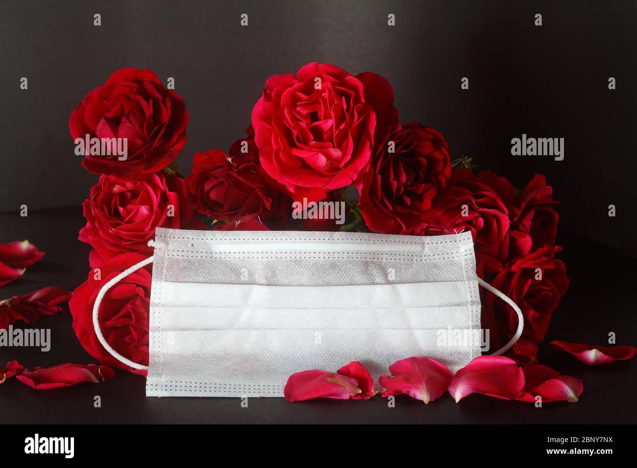 red roses and n95 mask on a black background Stock Photo - Alamy