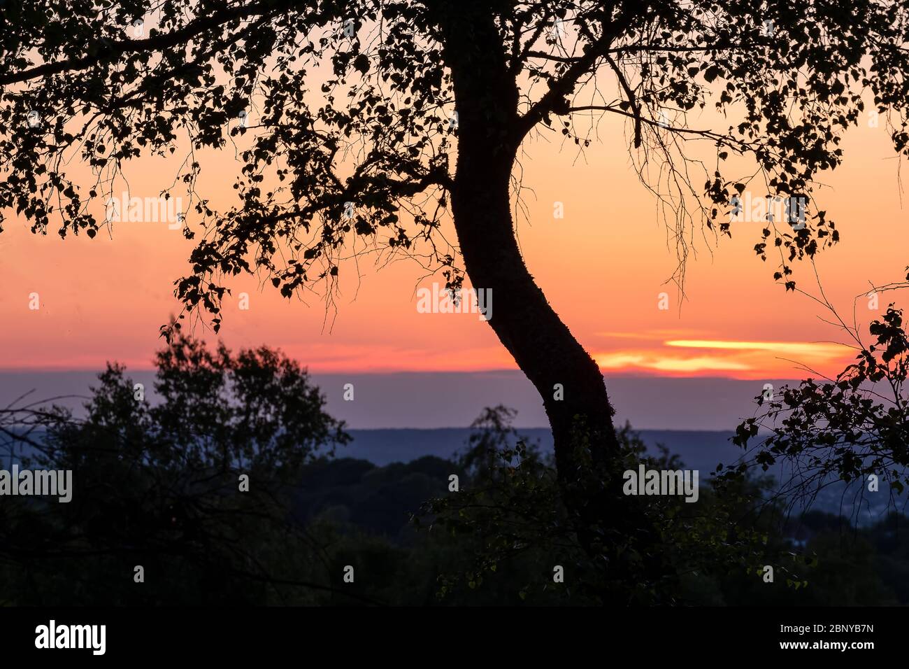 Surrey Hills Sunset Stock Photo - Alamy