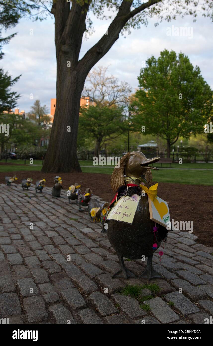 Ducklings at the Boston Commons honoring first responders and health ...