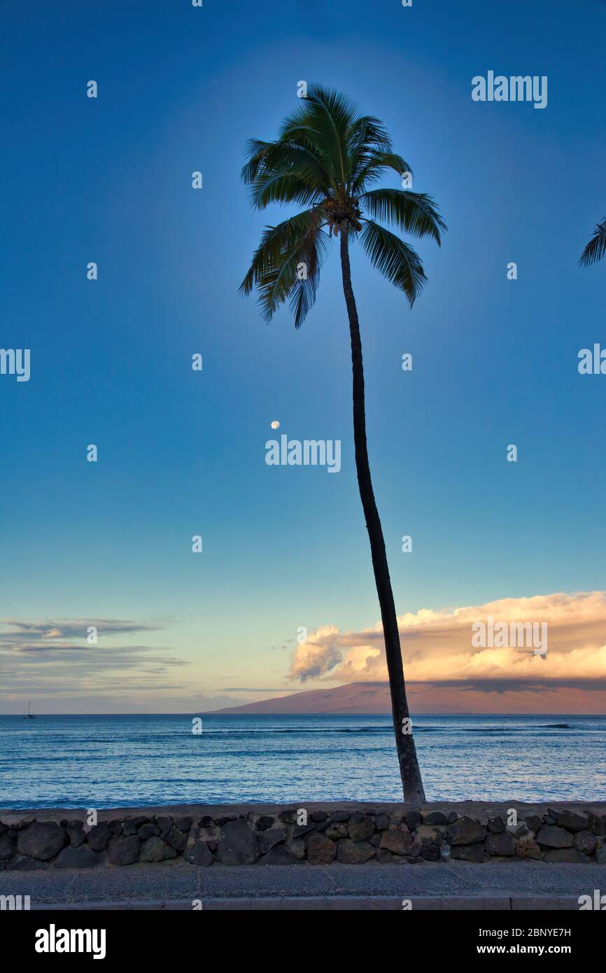 Lanai vertical hi-res stock photography and images - Alamy