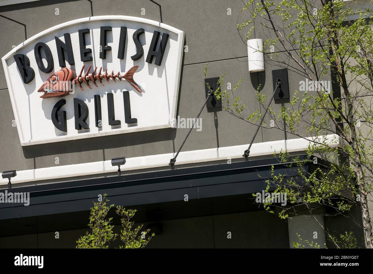 Bonefish Grill Camp Hill Pa