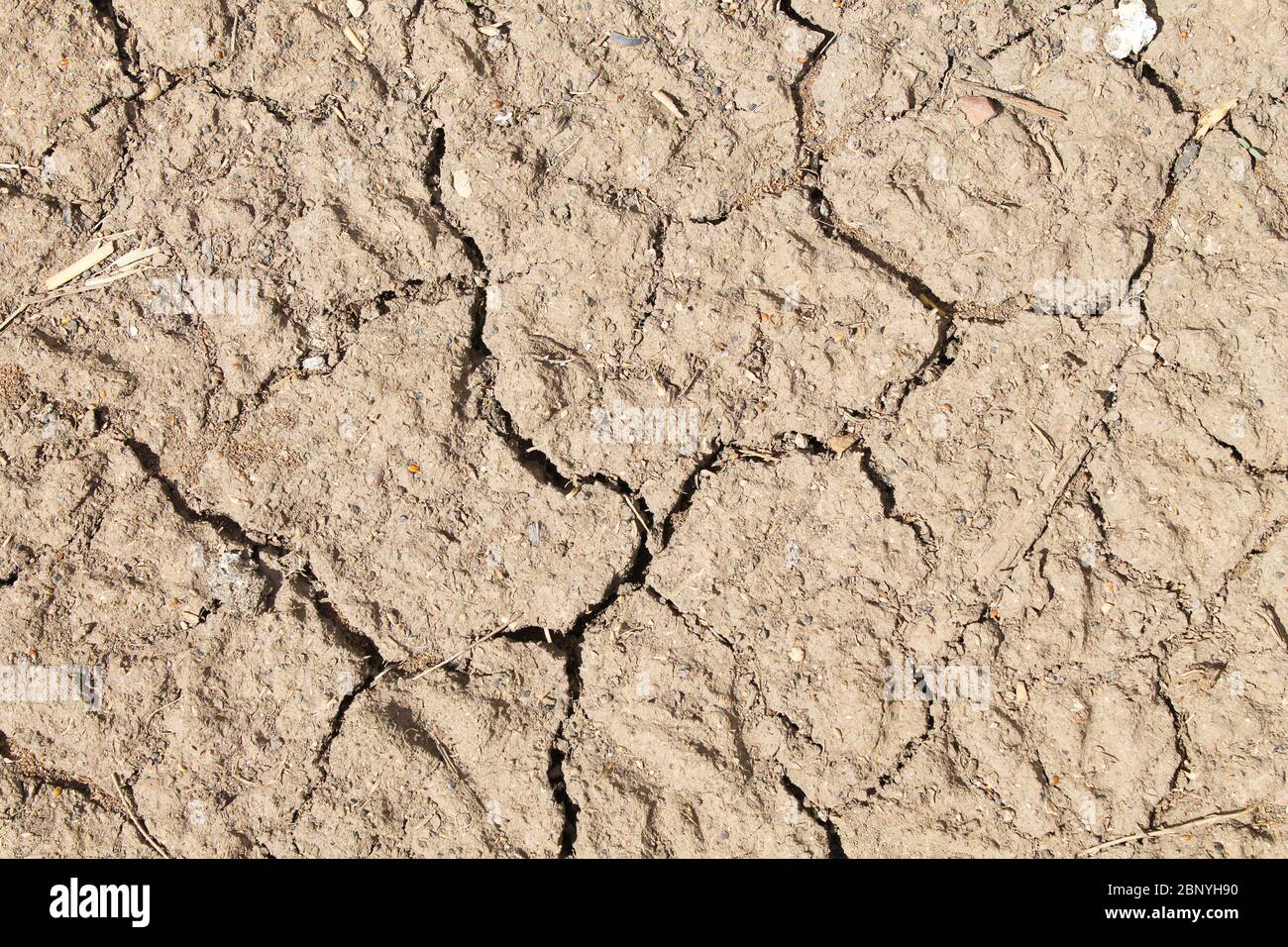 Cracked clay texture. Faults and cracks on frozen clay Stock Photo - Alamy