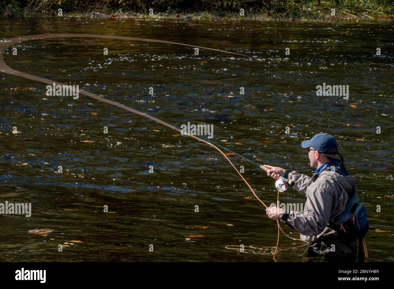 Fly Fishing in a river for Atlantic Salmon Stock Photo - Alamy