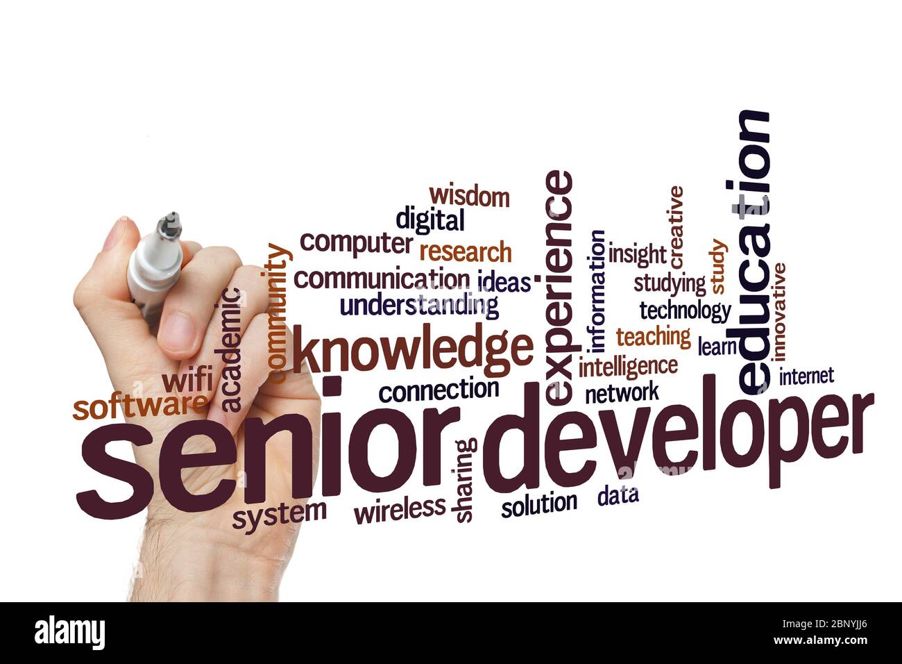 Senior developer word cloud concept on white background Stock Photo - Alamy