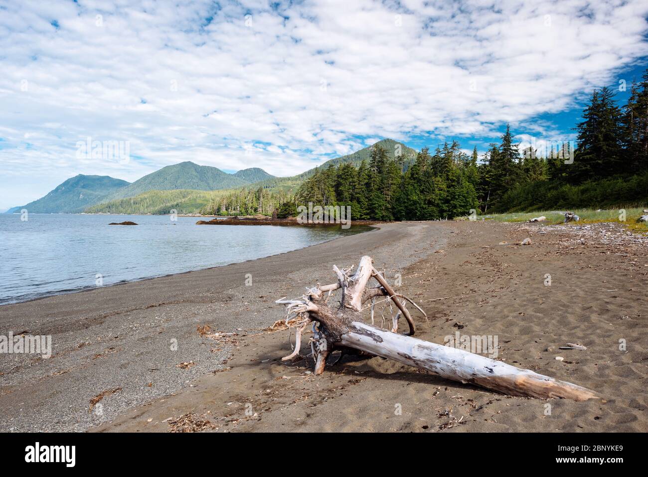 Gregory Beach, Rennell Sound, Haida Gwaii, British Columbia Stock Photo ...