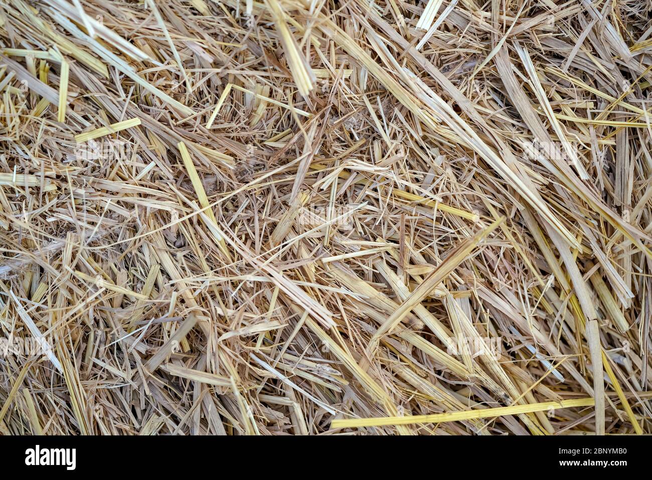 Dry straw background pattern (Top View). Nature Background Stock Photo ...