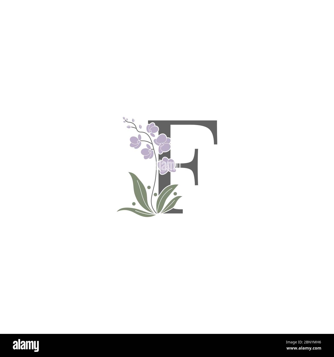 Letter f logo vector vectors Cut Out Stock Images & Pictures - Alamy