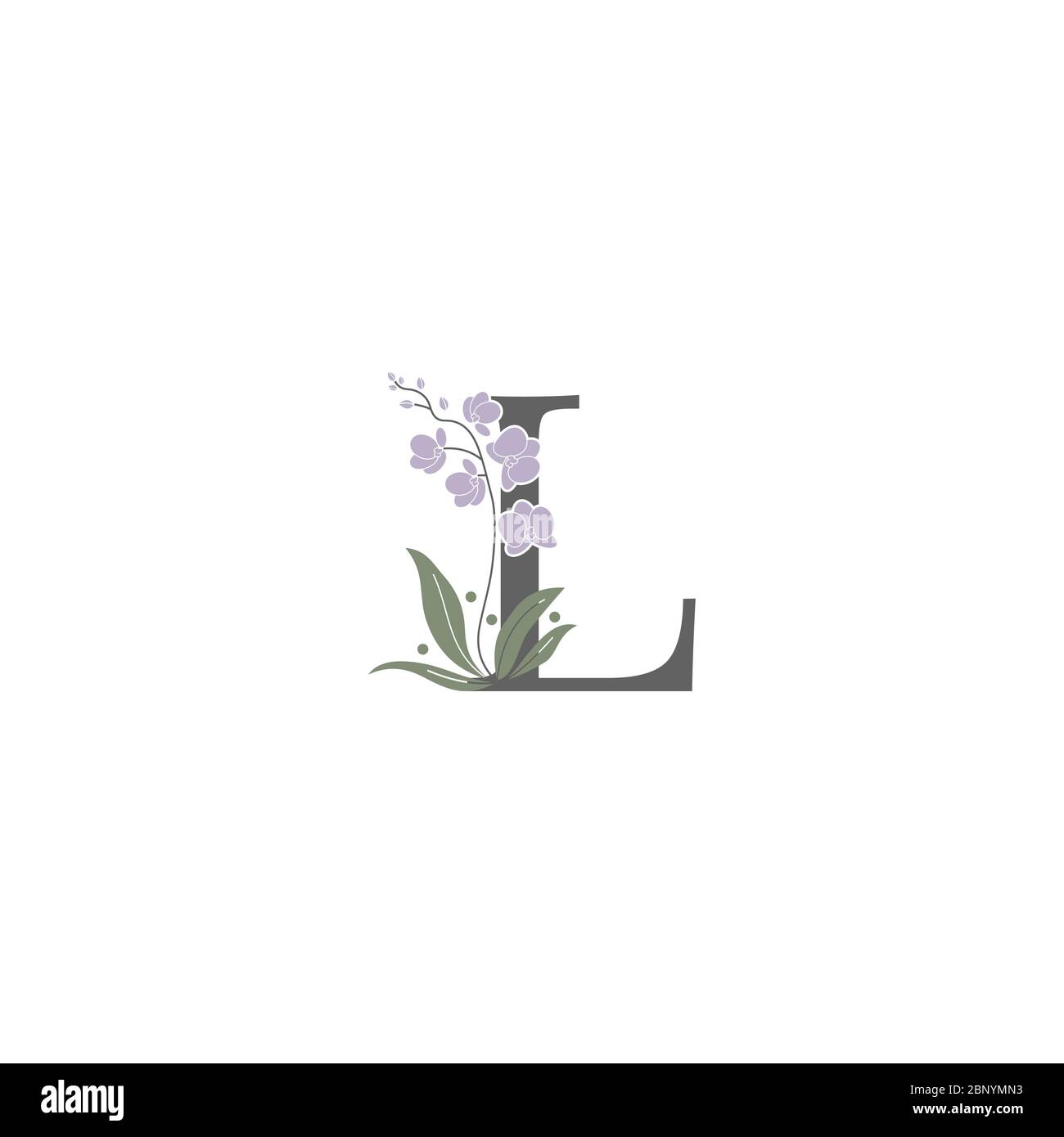 Modern l logo design hi-res stock photography and images - Alamy
