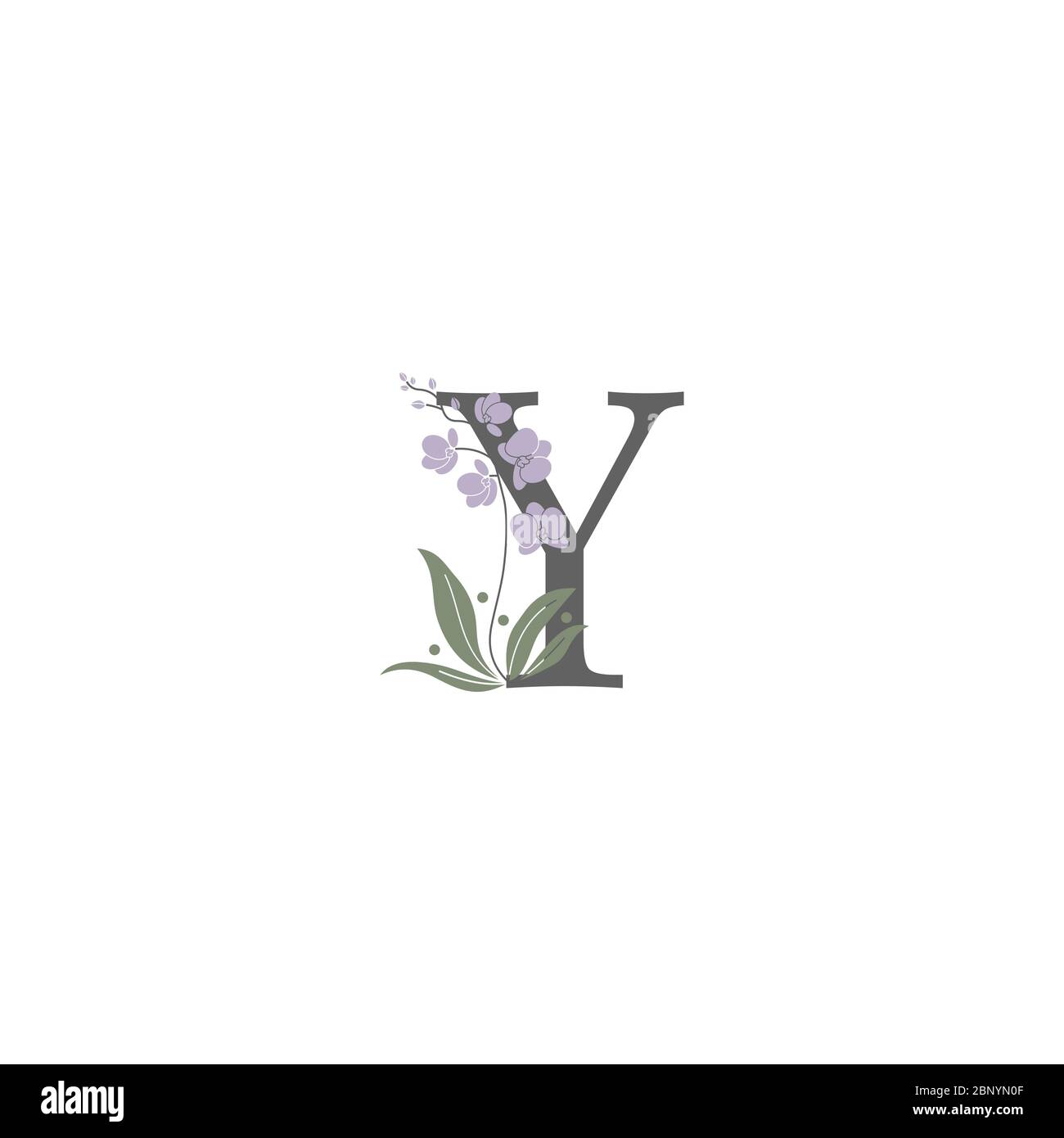 Letter y alphabet hi-res stock photography and images - Alamy