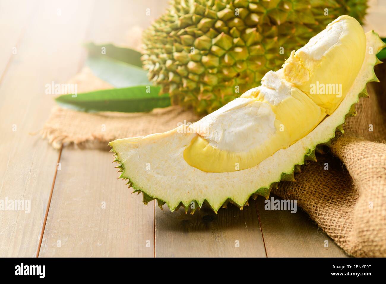Fresh cut durian (monthong) on sack and old wood background, king of fruit from Thailand on ...