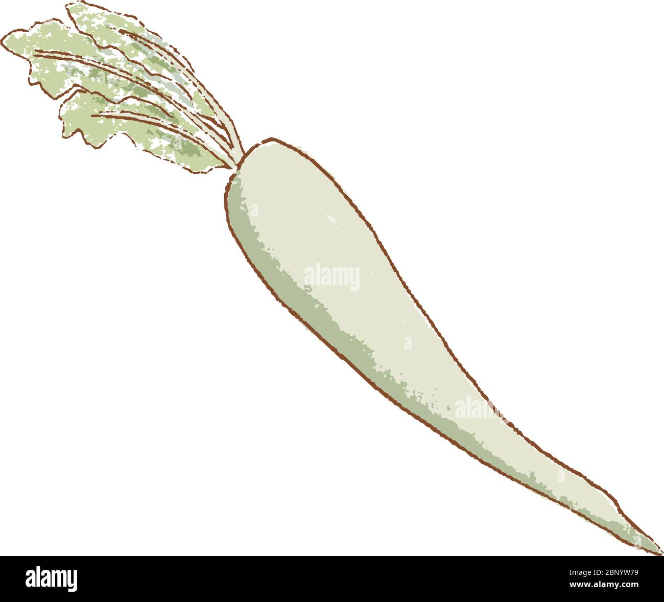 Fresh raw Daikon radish, horseradish root isolated icon. Spring ...