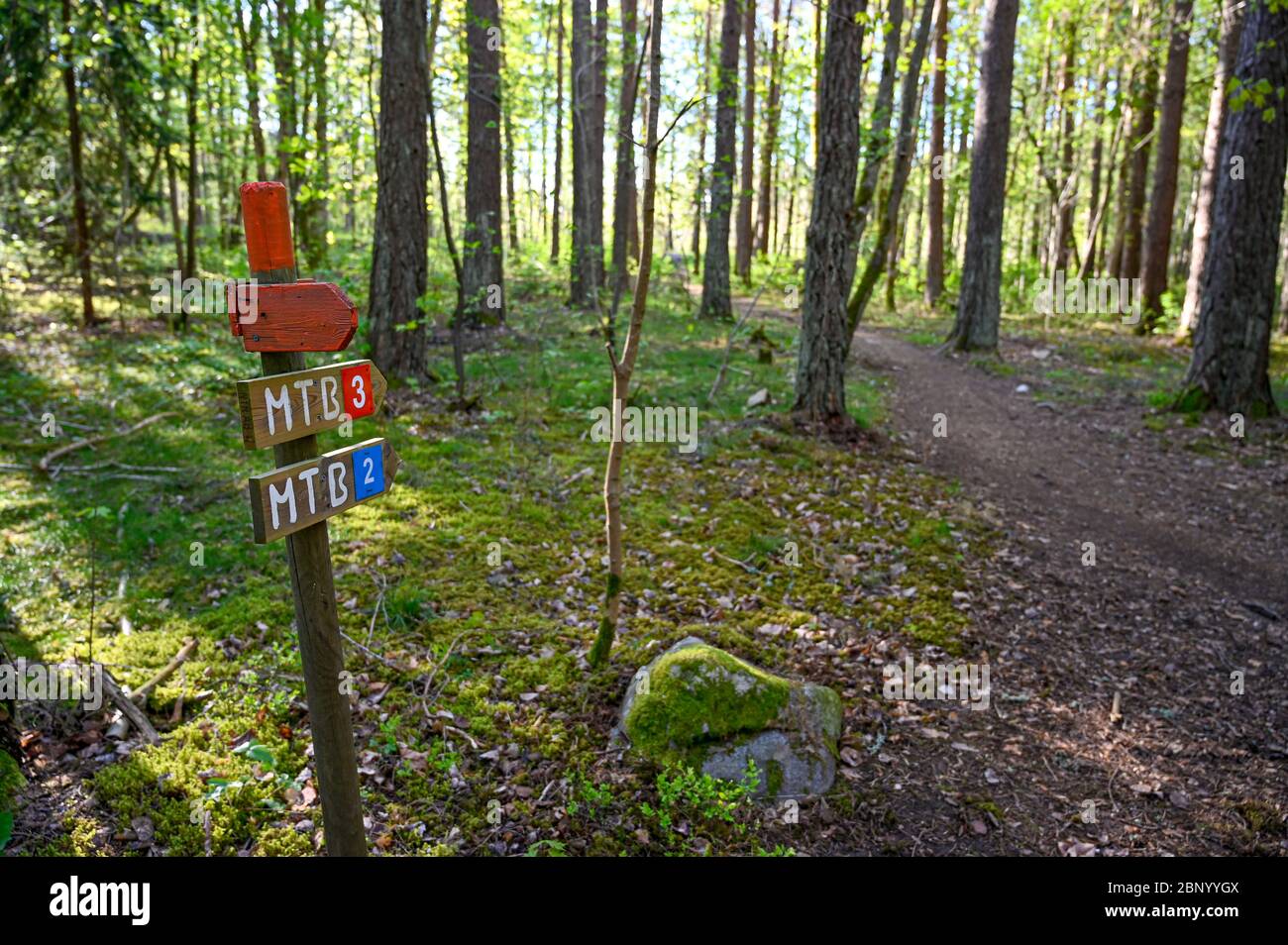 Forest path with numbers hi-res stock photography and images - Alamy