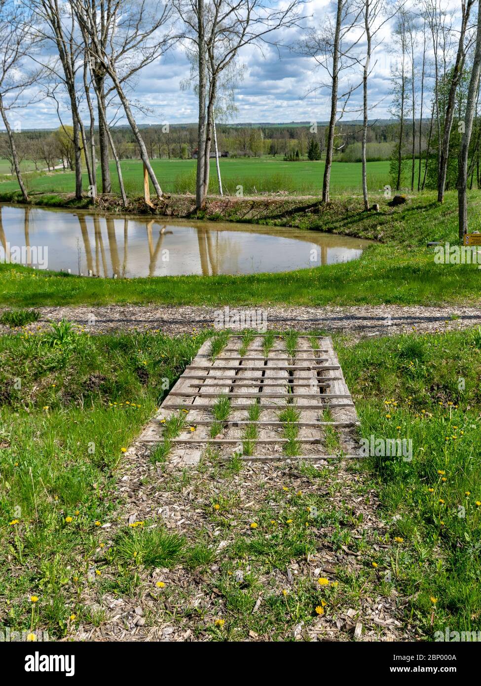 picture with a wooden log bridge over a small ditch, wooden texture ...