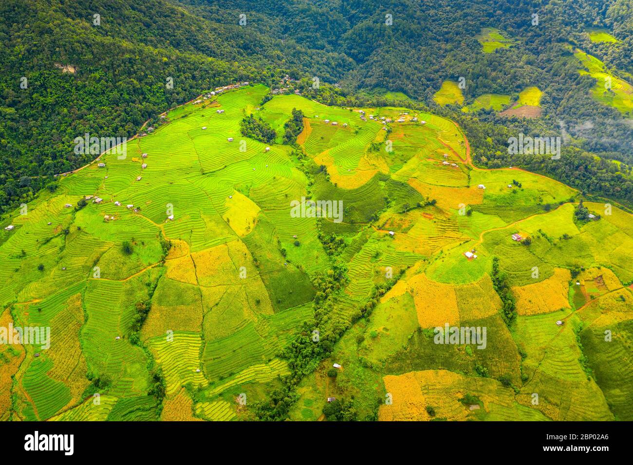 Aerial view on nature landscape with scenery rice field on background ...
