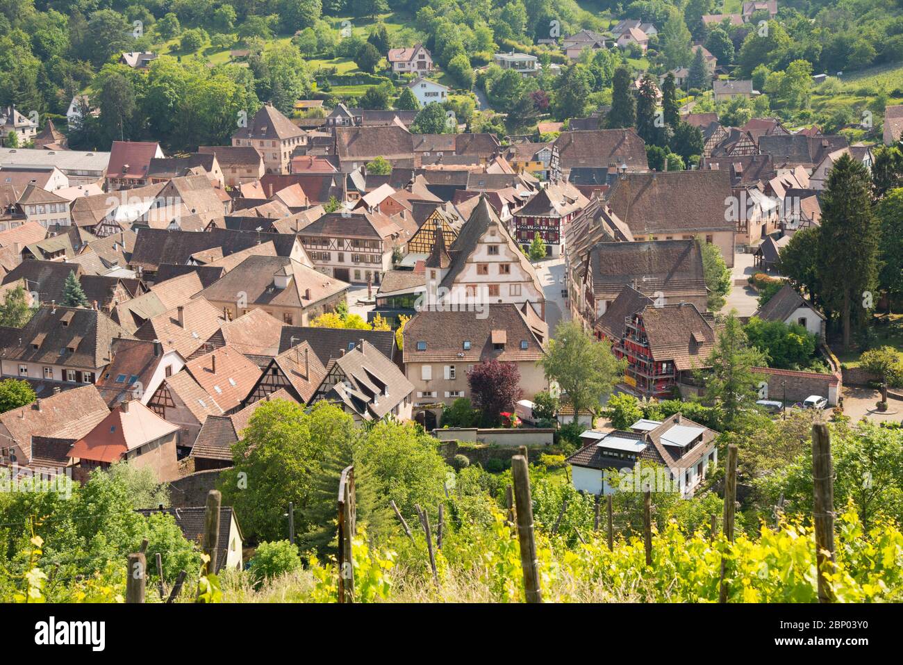village of Andlau in alsace in france Stock Photo - Alamy