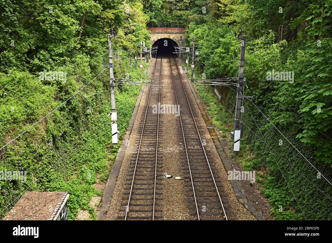 tunnel and railroad in the woods Stock Photo - Alamy
