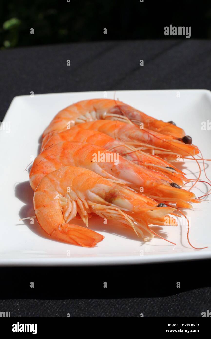 Plate raw prawns in hi-res stock photography and images - Alamy