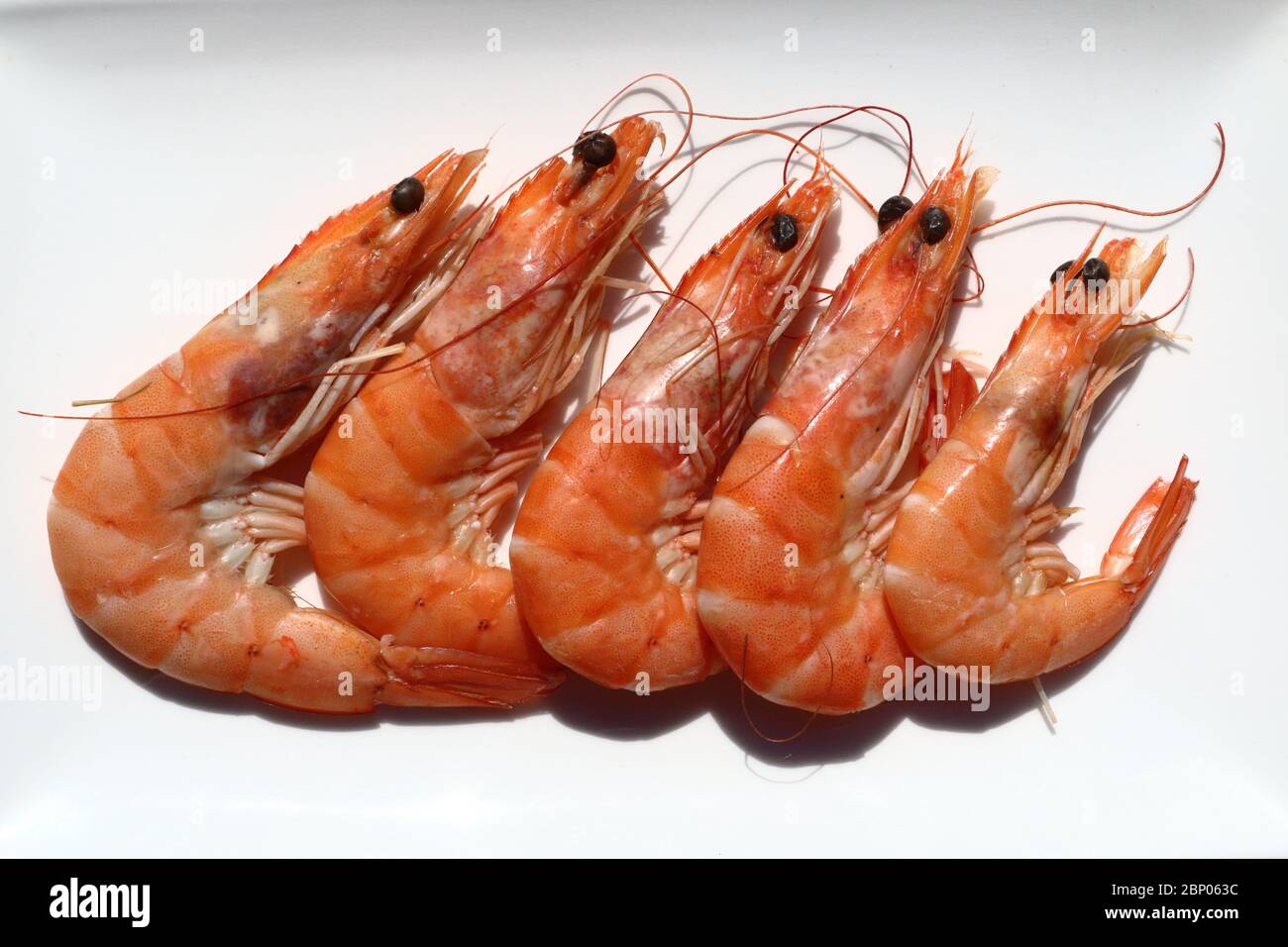 Closeup plate hi-res stock photography and images - Alamy