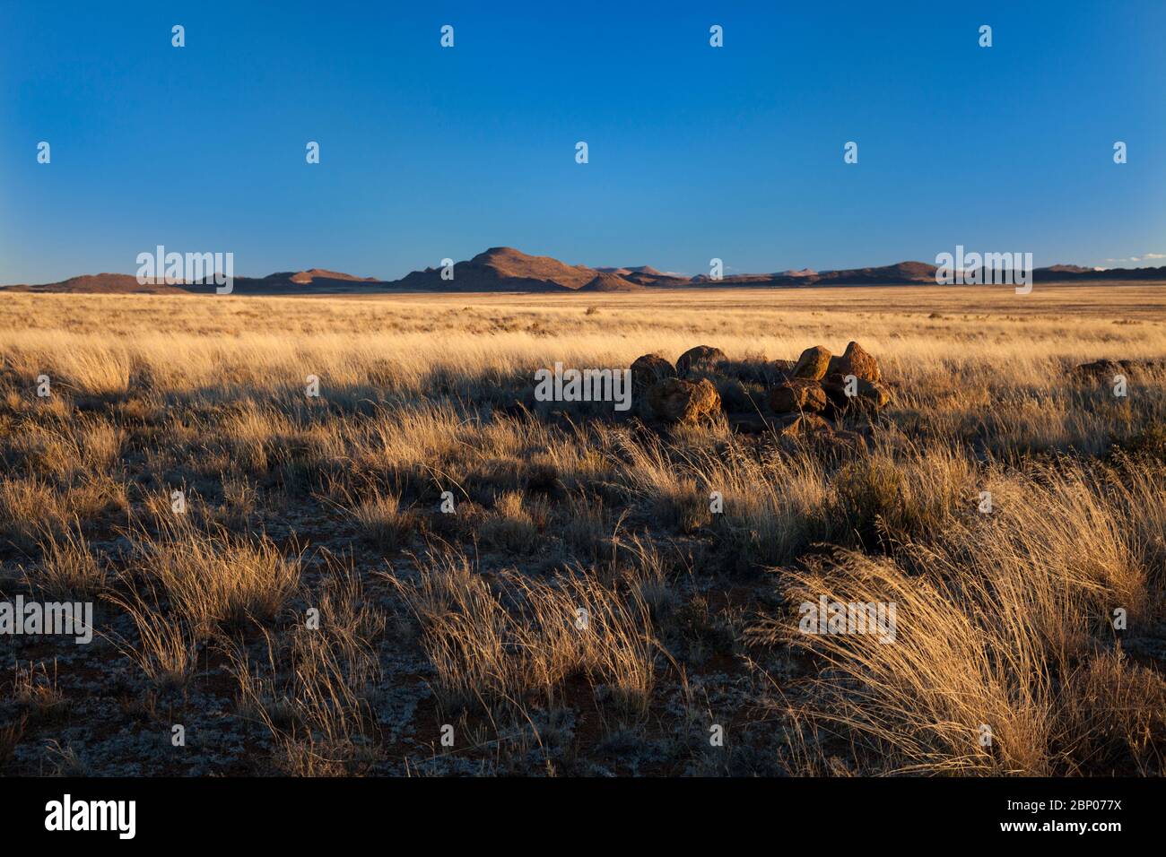 Northern Type High Resolution Stock Photography and Images - Alamy