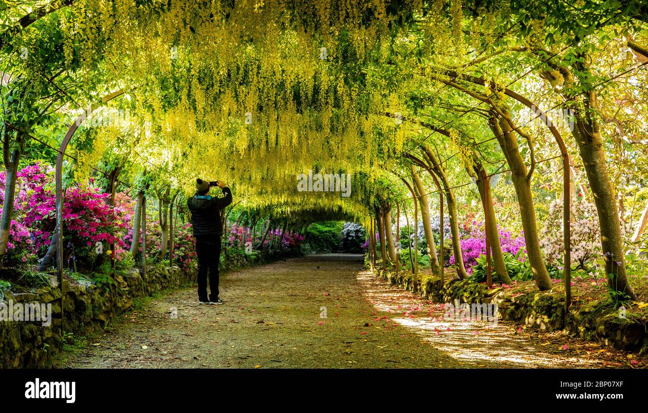 Bodnant gardens conwy, wales arch hi-res stock photography and images ...