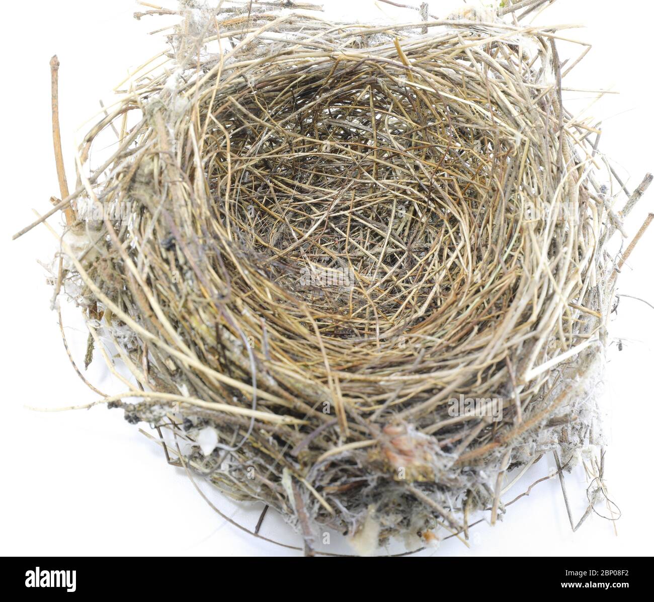 small nest of bird made with straw and twisted twigs together on a ...