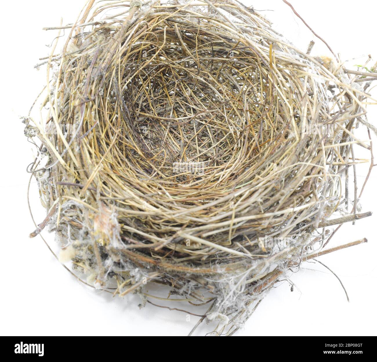 small bird nest made with straw and twigs twisted together on a white ...